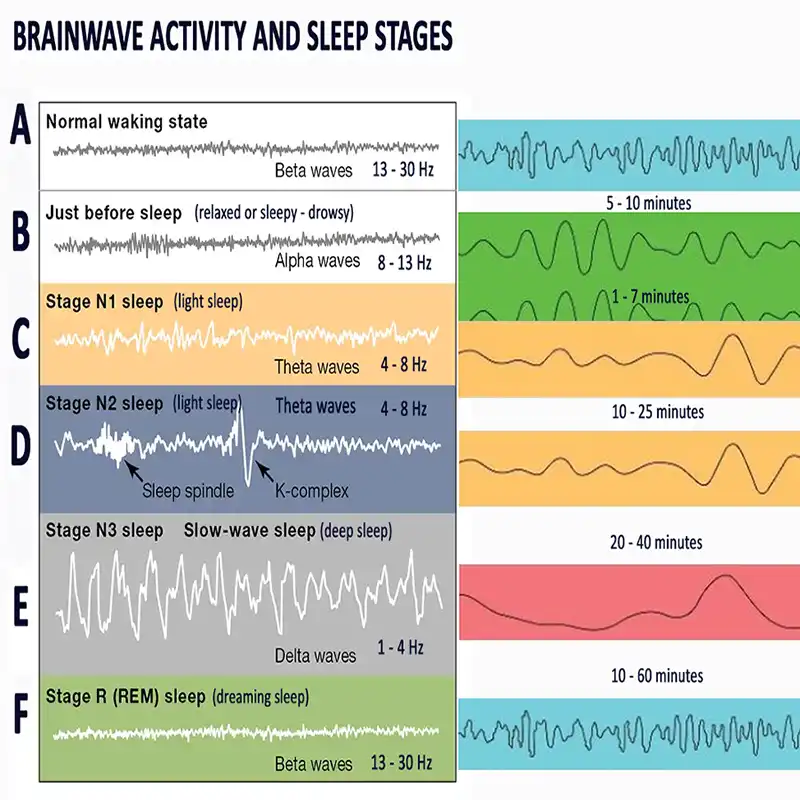 Total Sleep Management Sleep Therapy Goodbye Insomnia Total Sleep Management Sleep Therapy Goodbye Insomnia