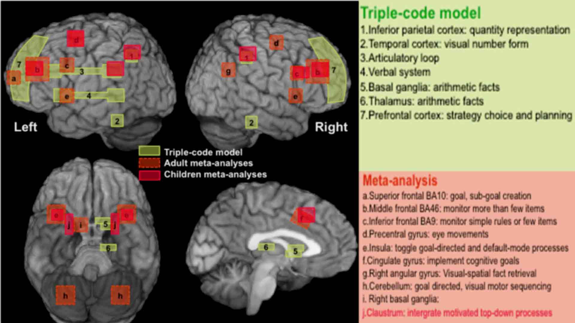 Neurofeedback in dyscalculia learning disability | Effective NFB protocols