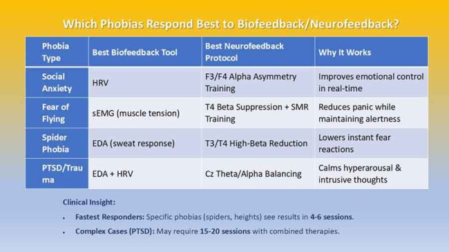 Does Fear Therapy Work? The Truth About Phobia Relief
